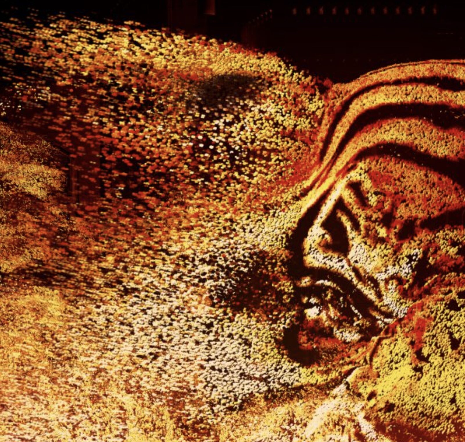 Jungle Sharjah Light Festival 2020, Projection Mapping - Tigrelab