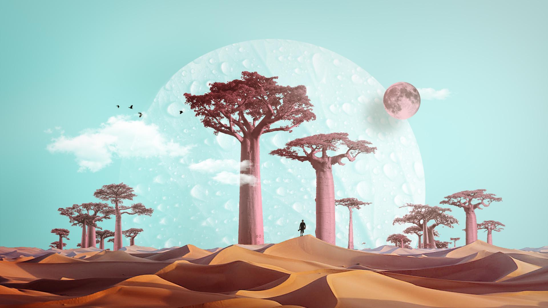 Documentary Collage - Tigrelab