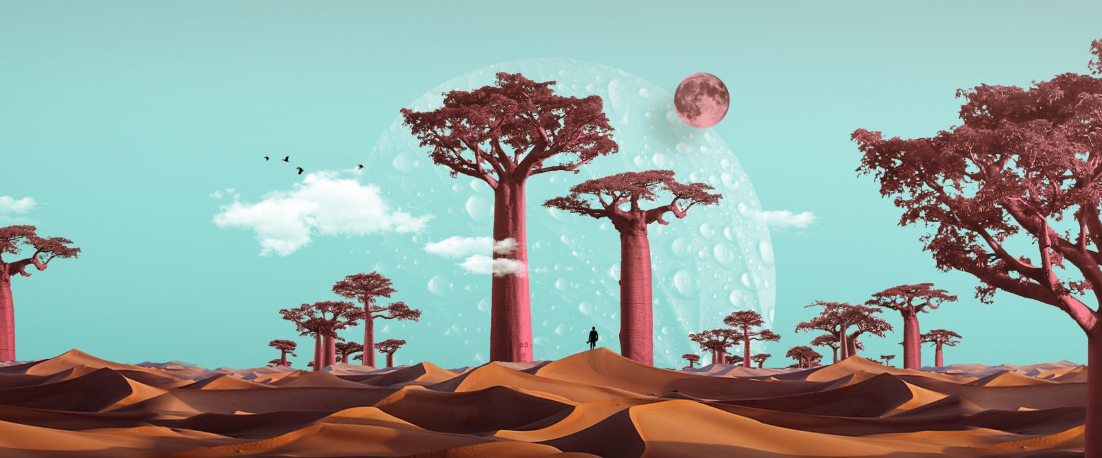 Documentary Collage - Tigrelab