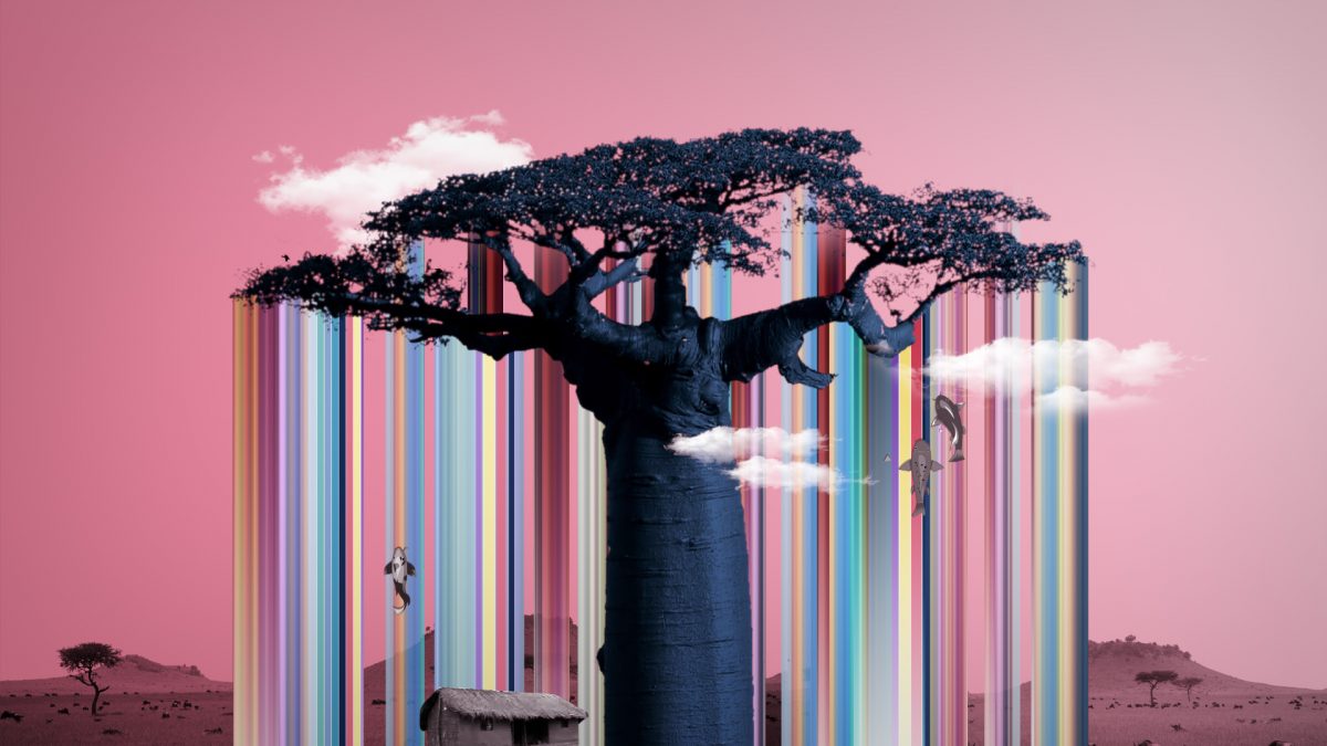 Documentary Collage - Tigrelab